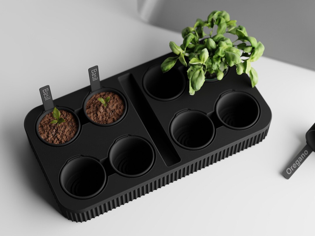 Sprout Nest, Seed Starter Tray, Indoor Herbs, 8-cell Minimalist Planter ...