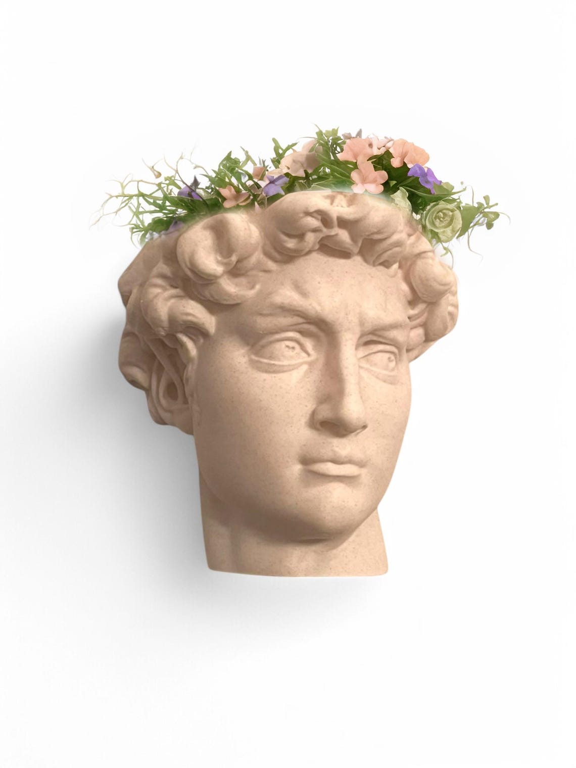 Statue of David Wall Planter Bust, Modern Face Vase, Succulents, Cacti ...