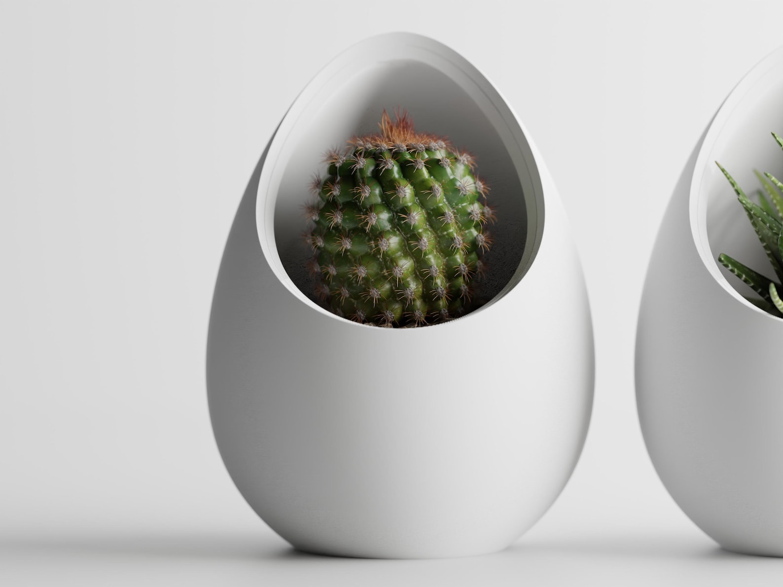 Nest Modern Egg Planter – Minimalist Flower Pot, Succulents, Cactus ...