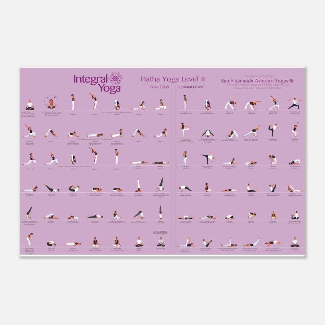 Integral Yoga Hatha Level II Asana Chart - Gallery Art Panel - Etsy