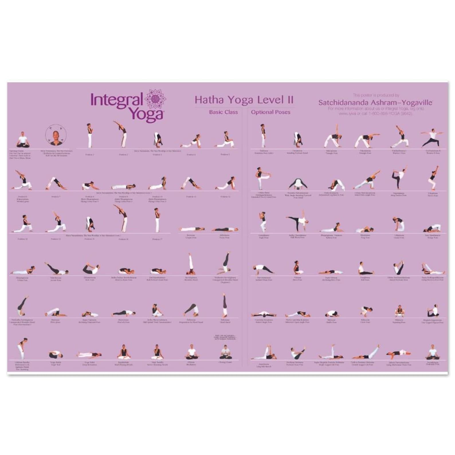 Integral Yoga Hatha Level II Asana Chart - Gallery Art Panel - Etsy