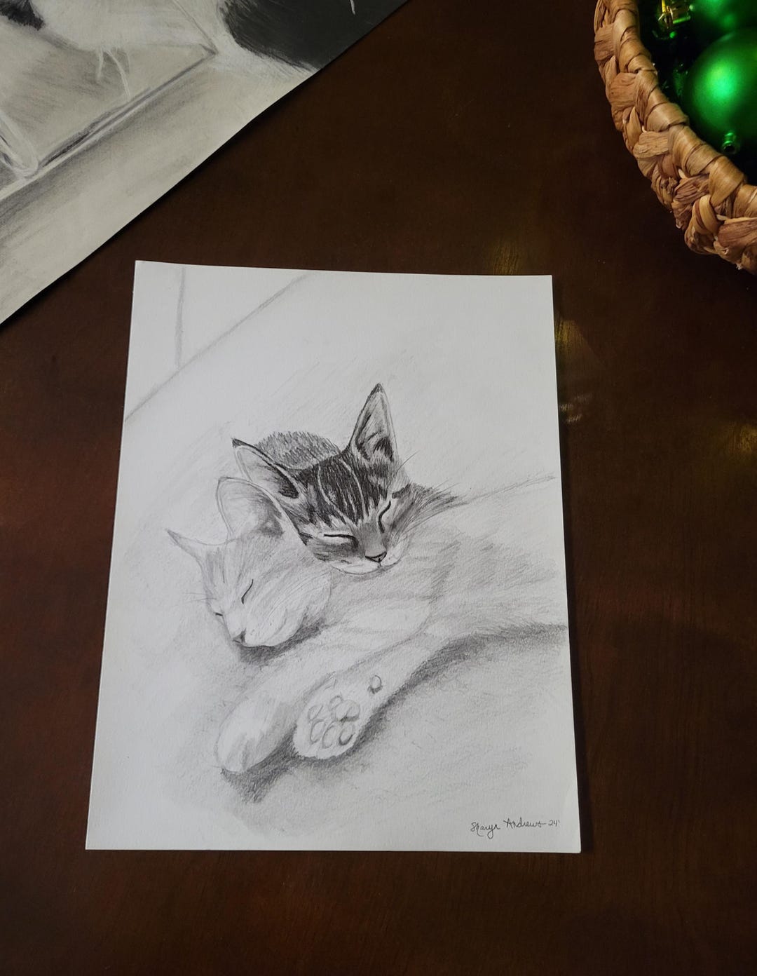 Graphite Drawing, Original, Cats, Title: Dreaming Together - Etsy
