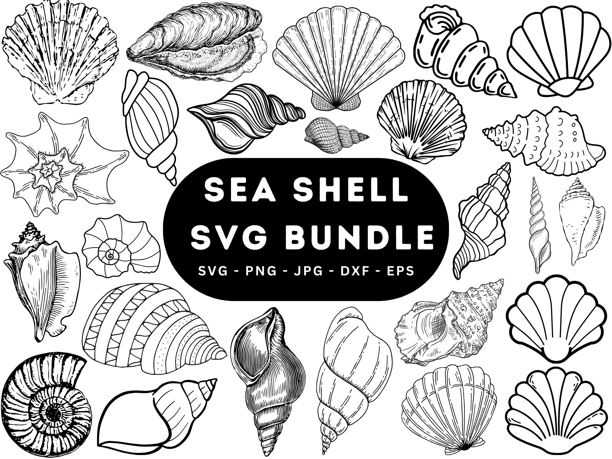 Seashell Svg,seashell SVG Bundle,seashell Png Bundle,cute Pastel ...