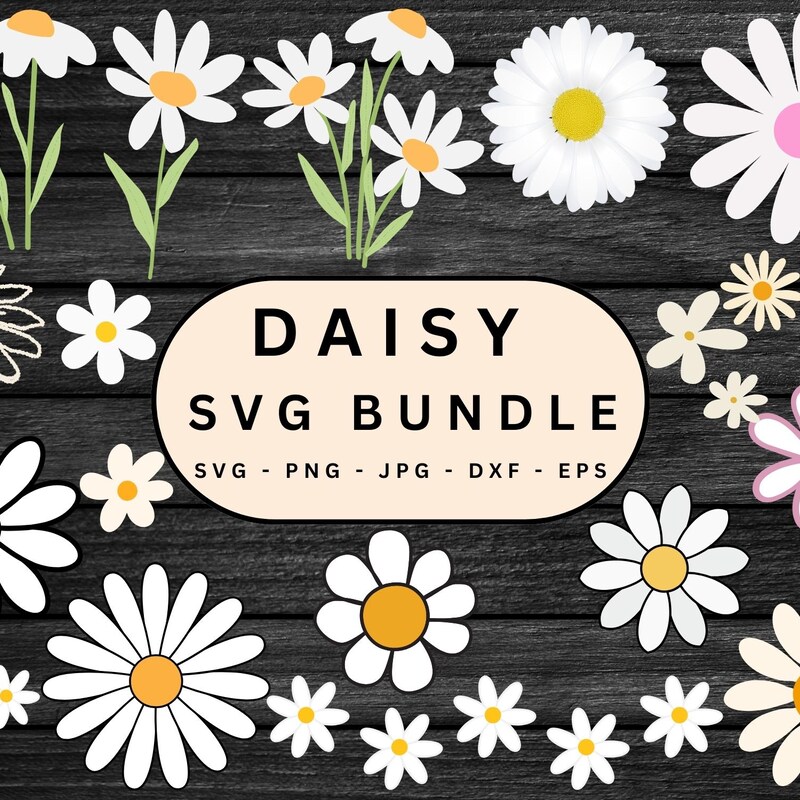 Daisy Flower Svg - Etsy