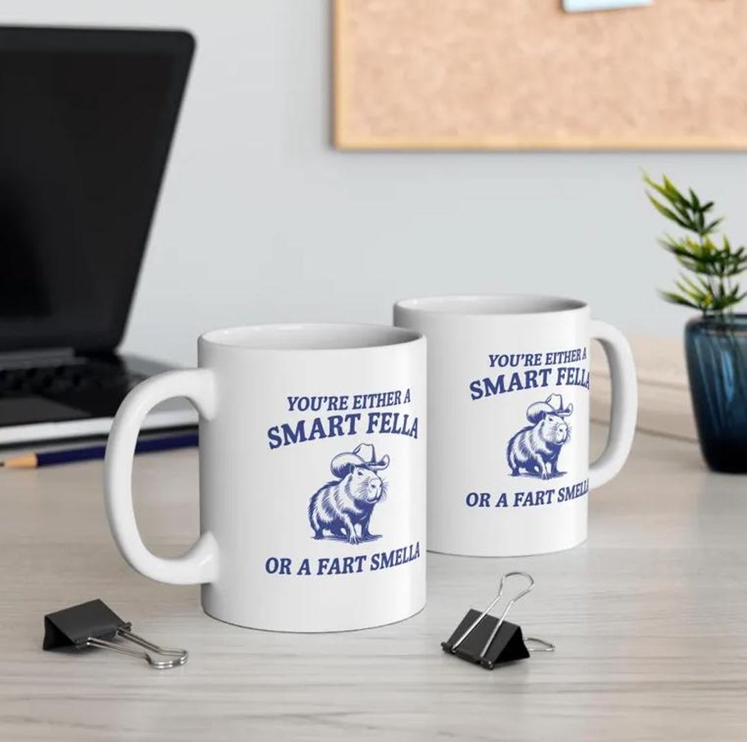 You A Smart Fella or Fart Smella Funny Mug Meme Gift, Funny Meme Mug ...
