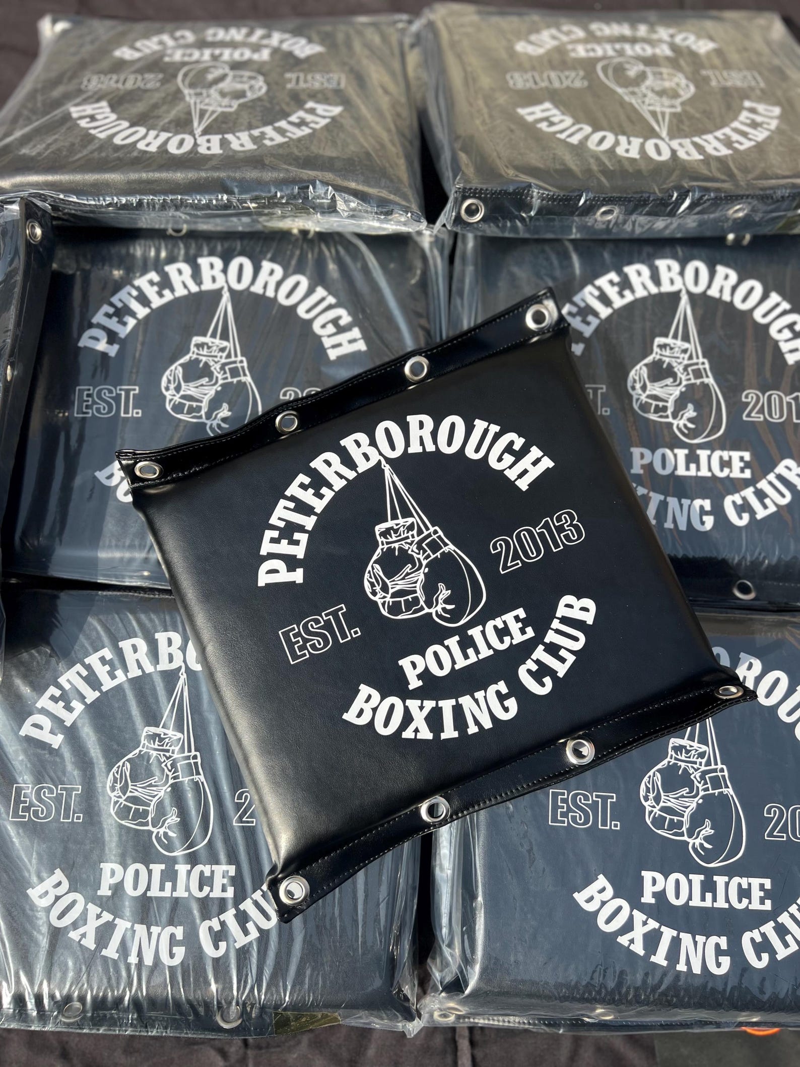 Custom Turnbuckle Pads – Set of 12, Wrestling Ring Corner Protectors ...