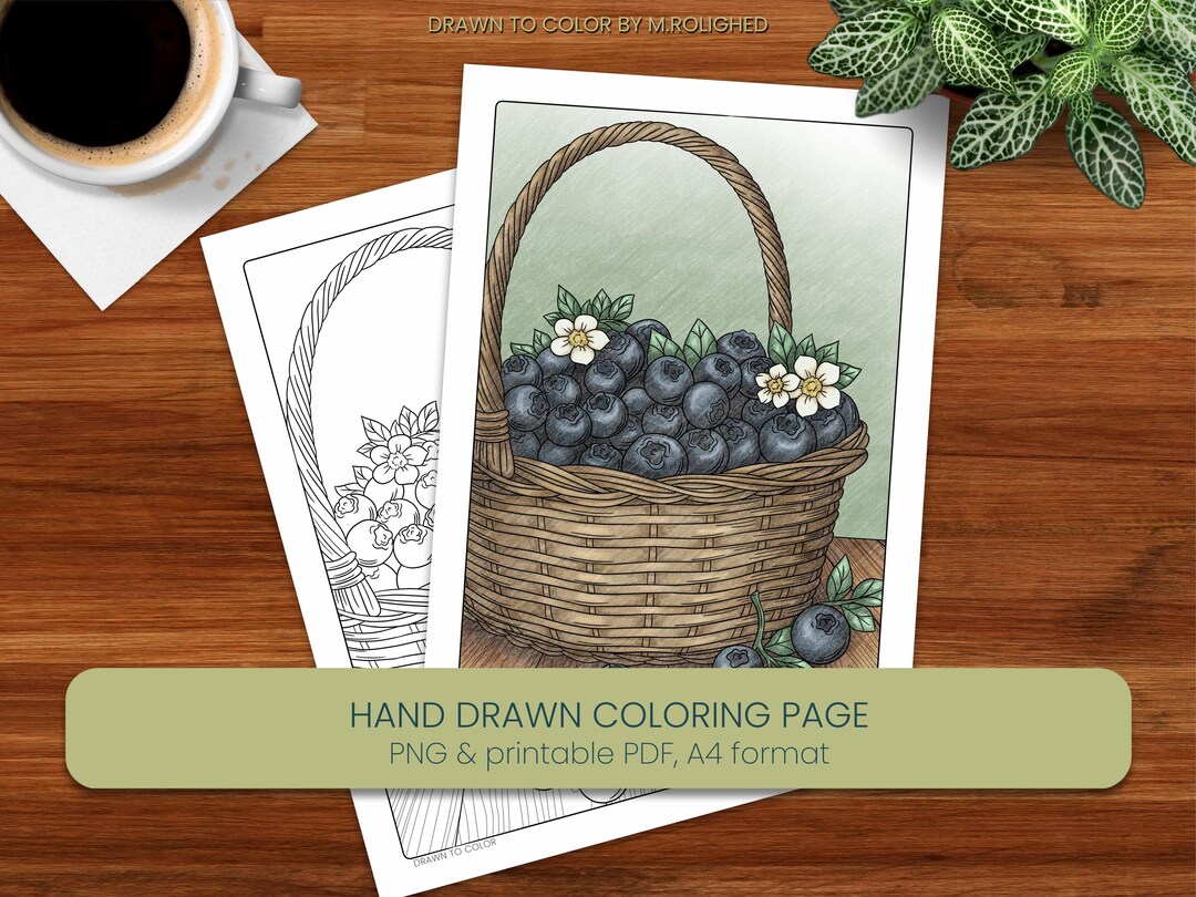 Blueberry Basket Coloring Page, Hand Drawn, Digital, Printable ...