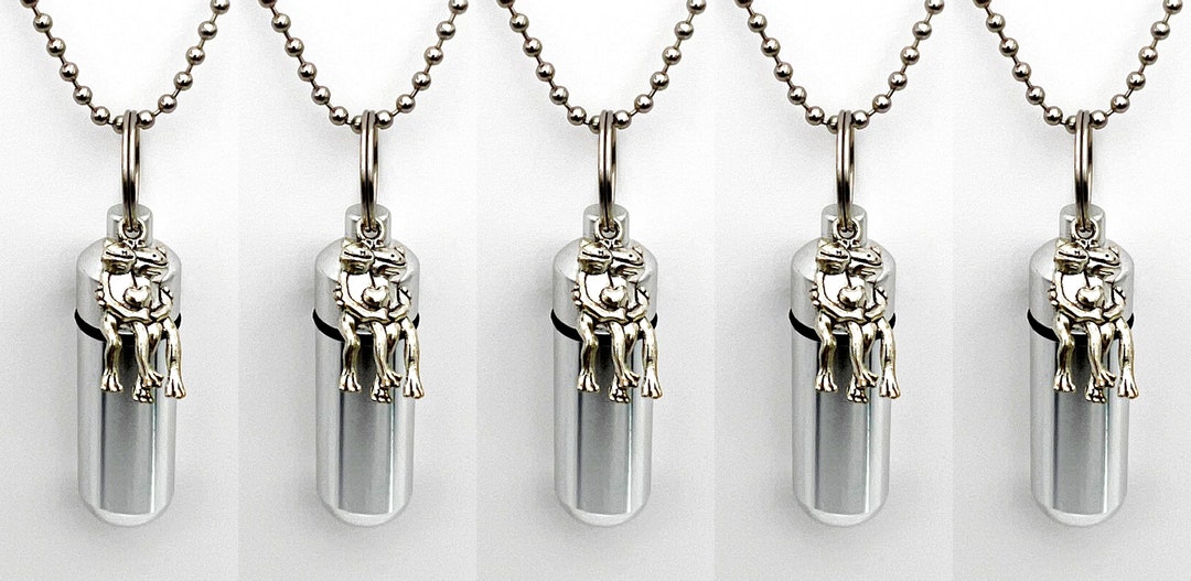 Set of 5 Happy Frogs W/heart Cremation Urns on 24" Ball Chain Necklaces ...