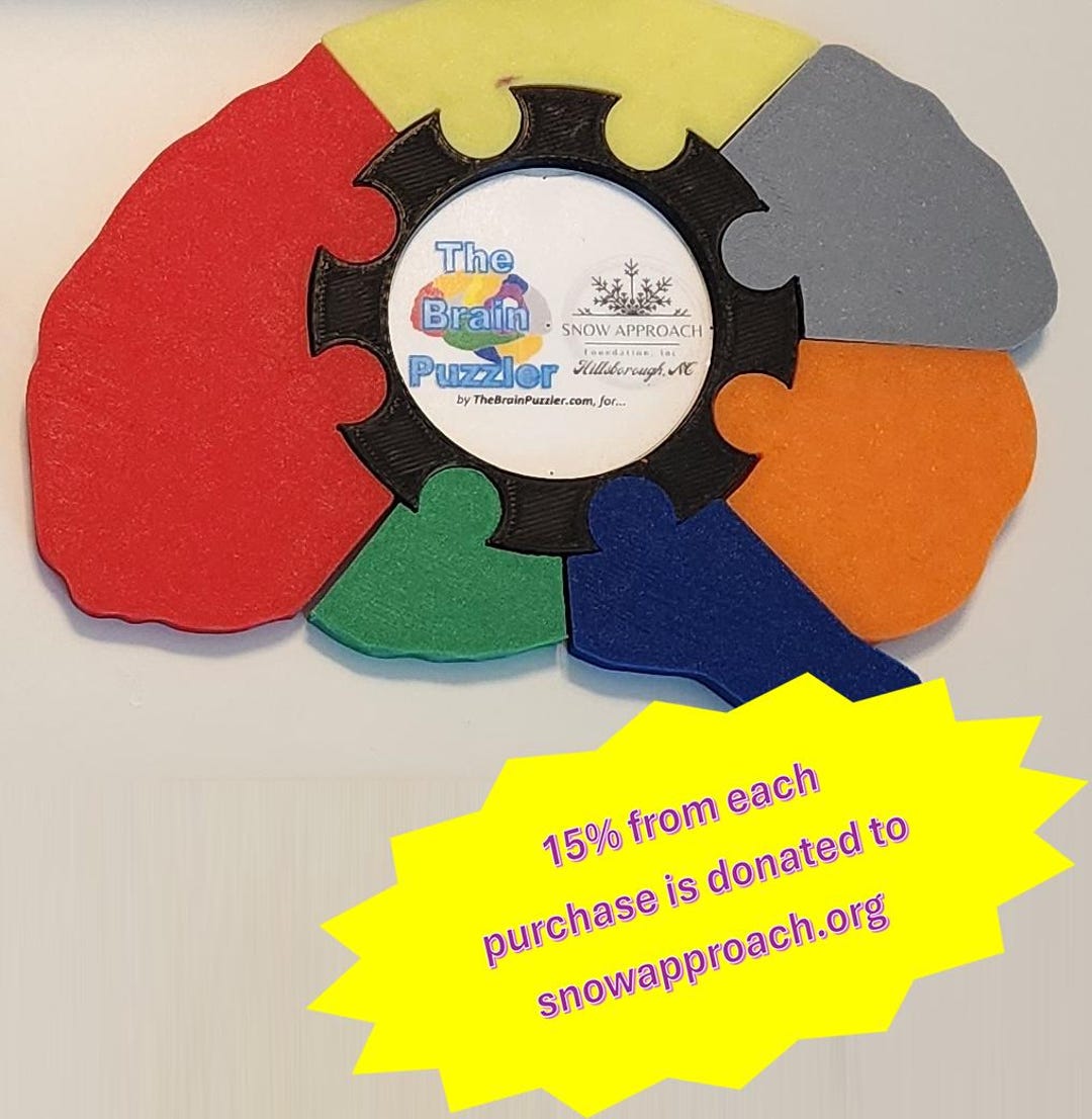 Match Brain Puzzle Pieces Using Key Colors - Personalizeable Gift - Etsy