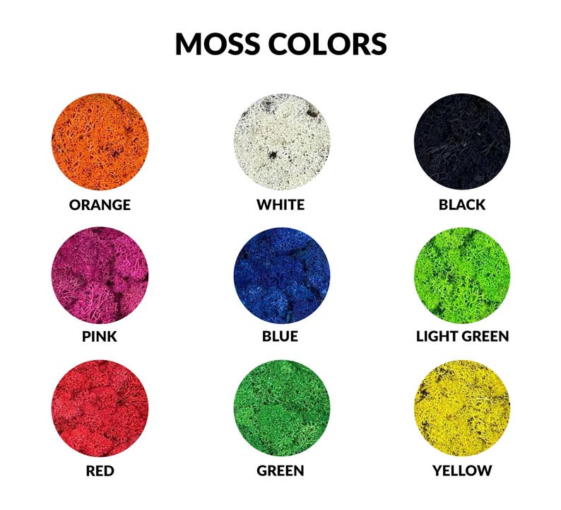 Preserved Plants, Moss Wall Art, Green Wall, Moss Art Panel, Custom ...