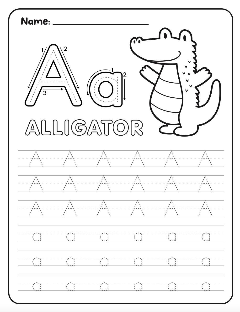 Ultimate Kindergarten Worksheets Bundle 2000+ Pages - Etsy