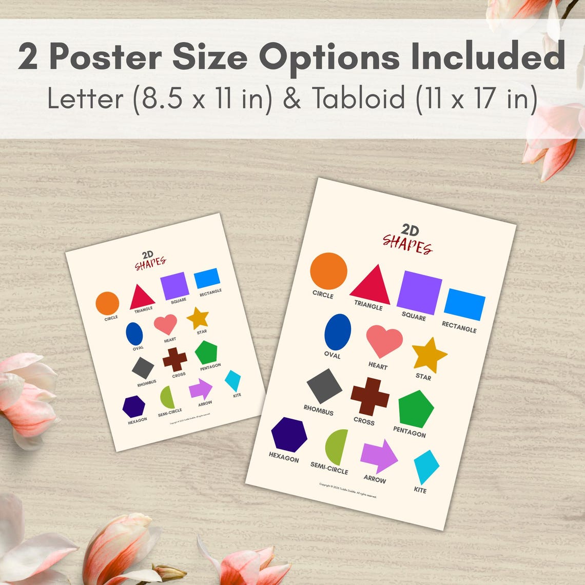 2D Shapes Poster: Kids' Educational Wall Art, Montessori Classroom ...
