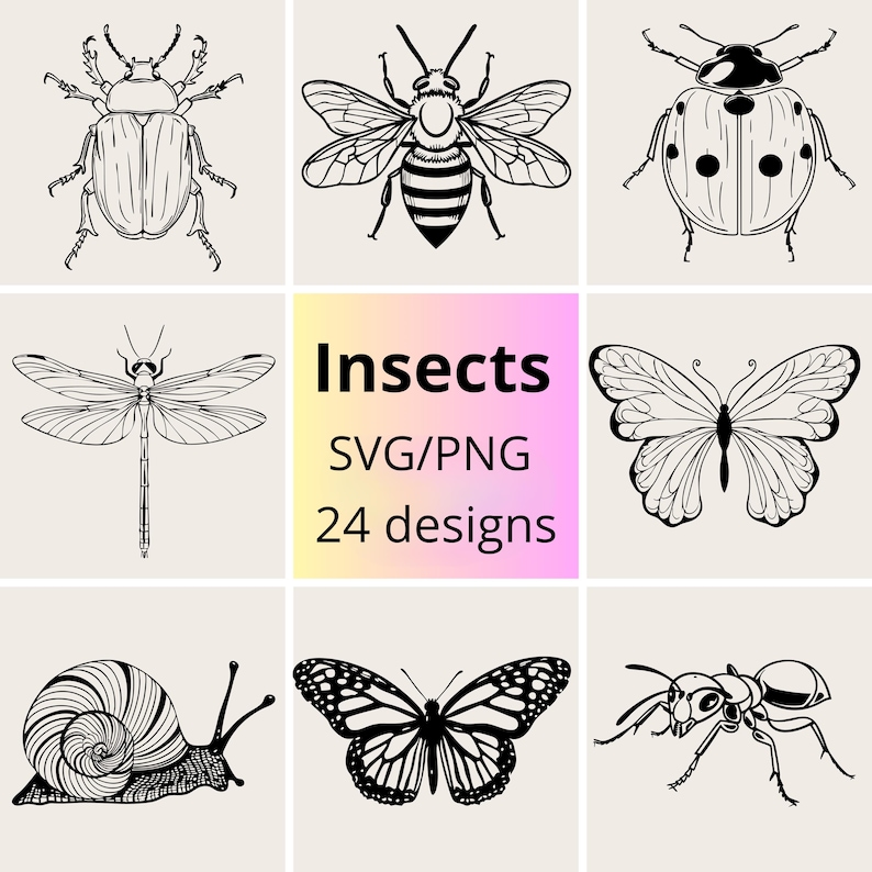 Insects Line Art SVG Bundle: Butterfly, Bee, Bug Clipart (digital ...