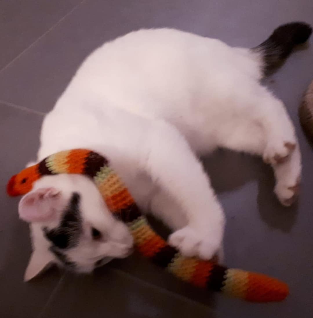 Hand-crochet Catnip Snake Toy, Organic Valerian, Wool Bamboo Yarn Cat ...