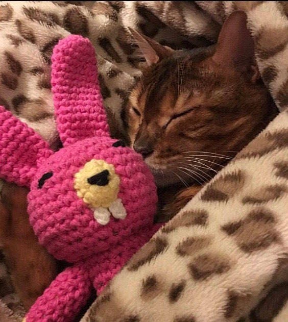 Monkey Cat TOY, Certified ORGANIC Catnip/valerian Mix in Head and Belly ...