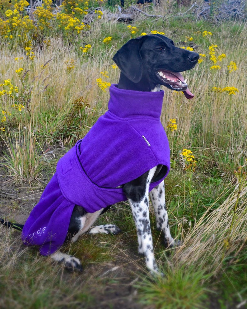 Ness Dog Drying Coat, Made in Scotland, Drying Robe, Dog Coat, Towel ...