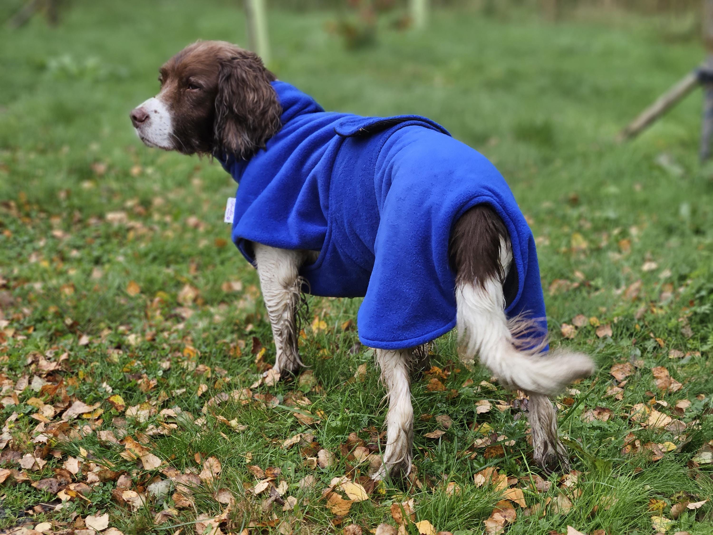 Ness Dog Drying Coat, Made in Scotland, Drying Robe, Dog Coat, Towel ...