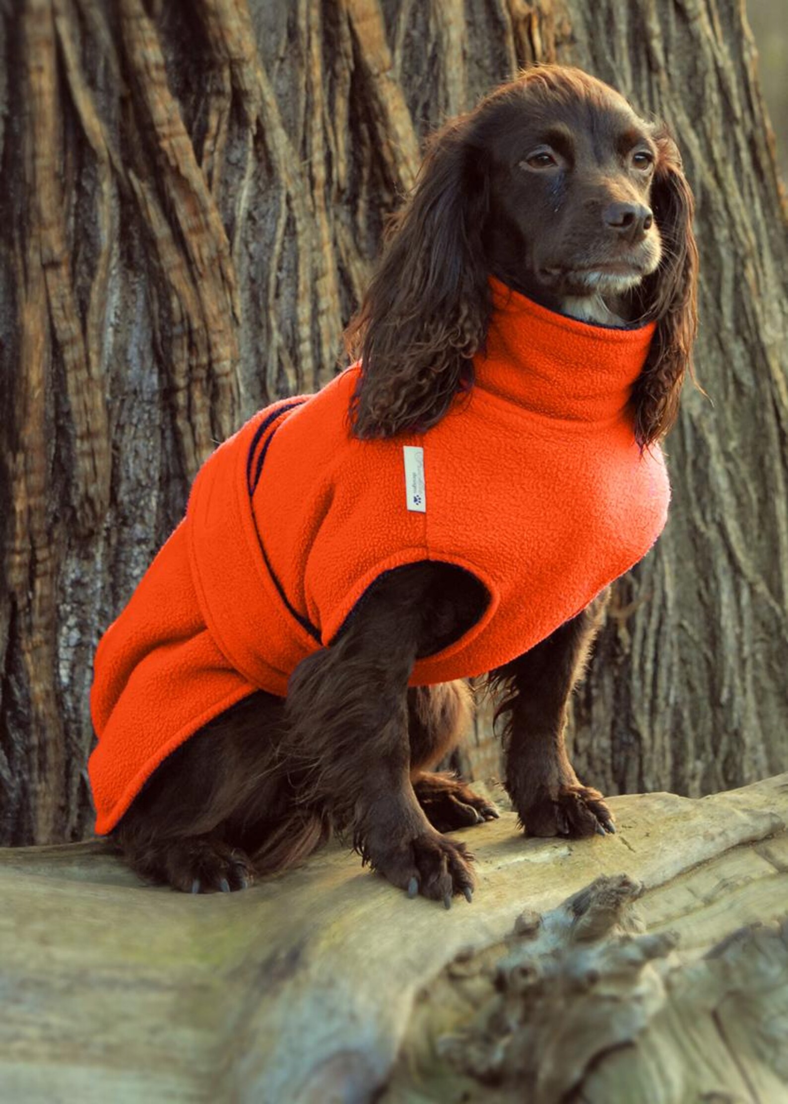 Ness Dog Drying Coat, Made in Scotland, Drying Robe, Dog Coat, Towel ...