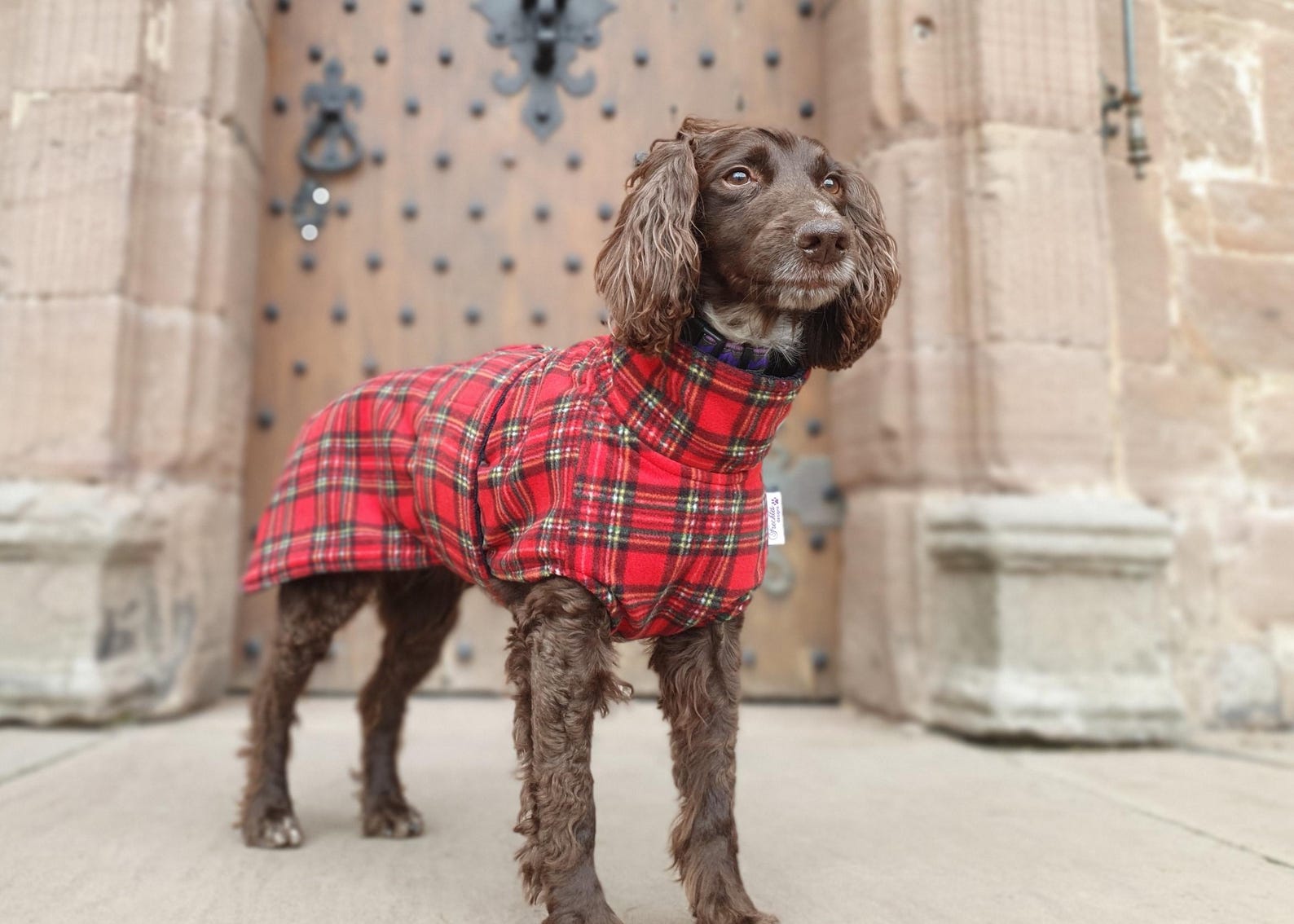 Ness Dog Drying Coat, Made in Scotland, Drying Robe, Dog Coat, Towel ...