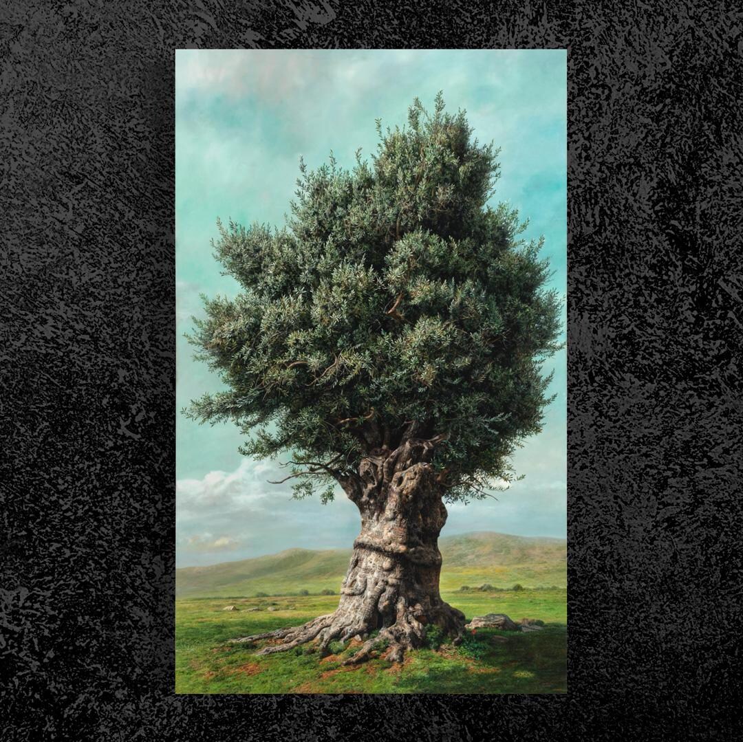 The Olive Tree of Time Wall Art and Wall Decor Limited Edition Nature ...