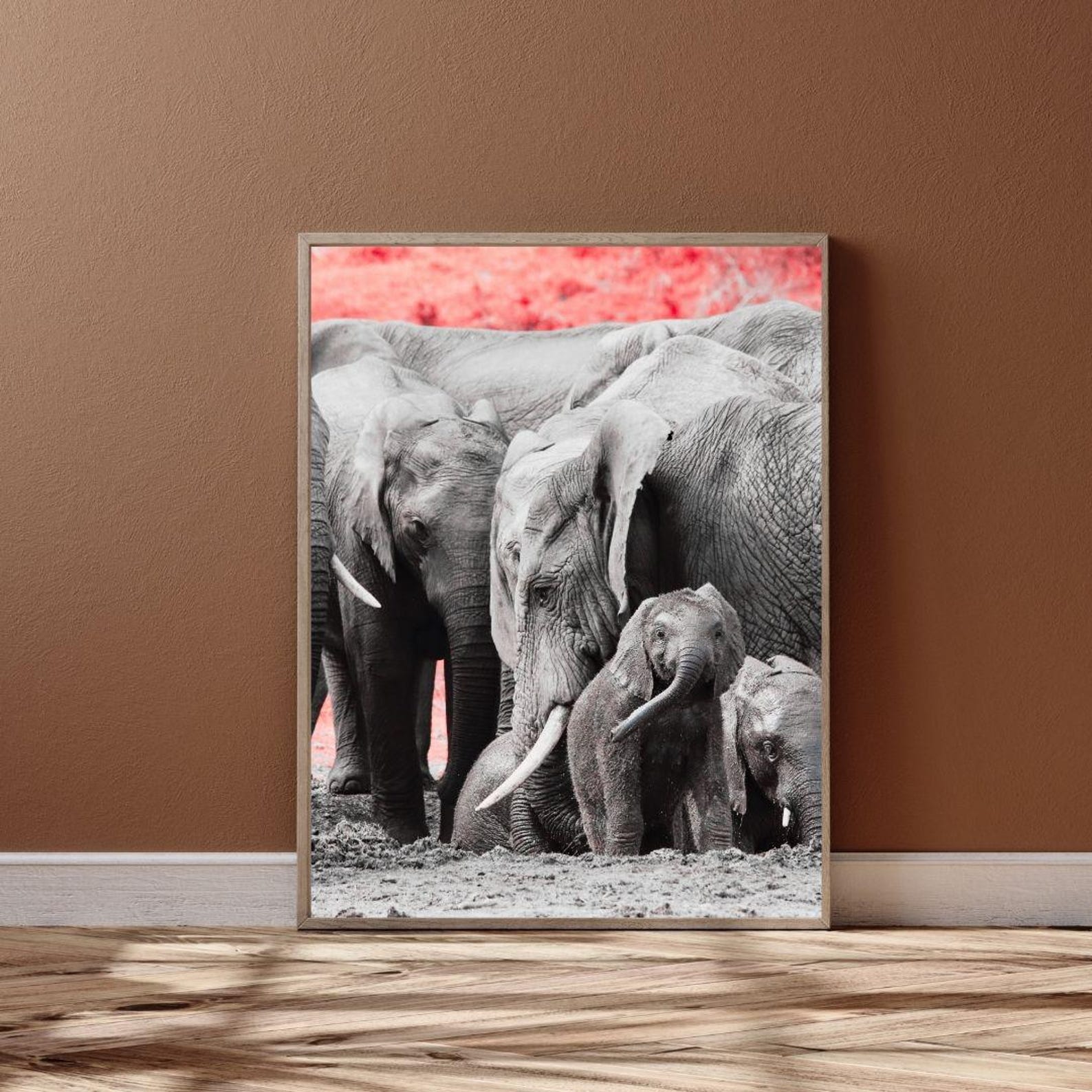 Elephants, Family Meeting, Wild Animals, Council Meeting, Important ...