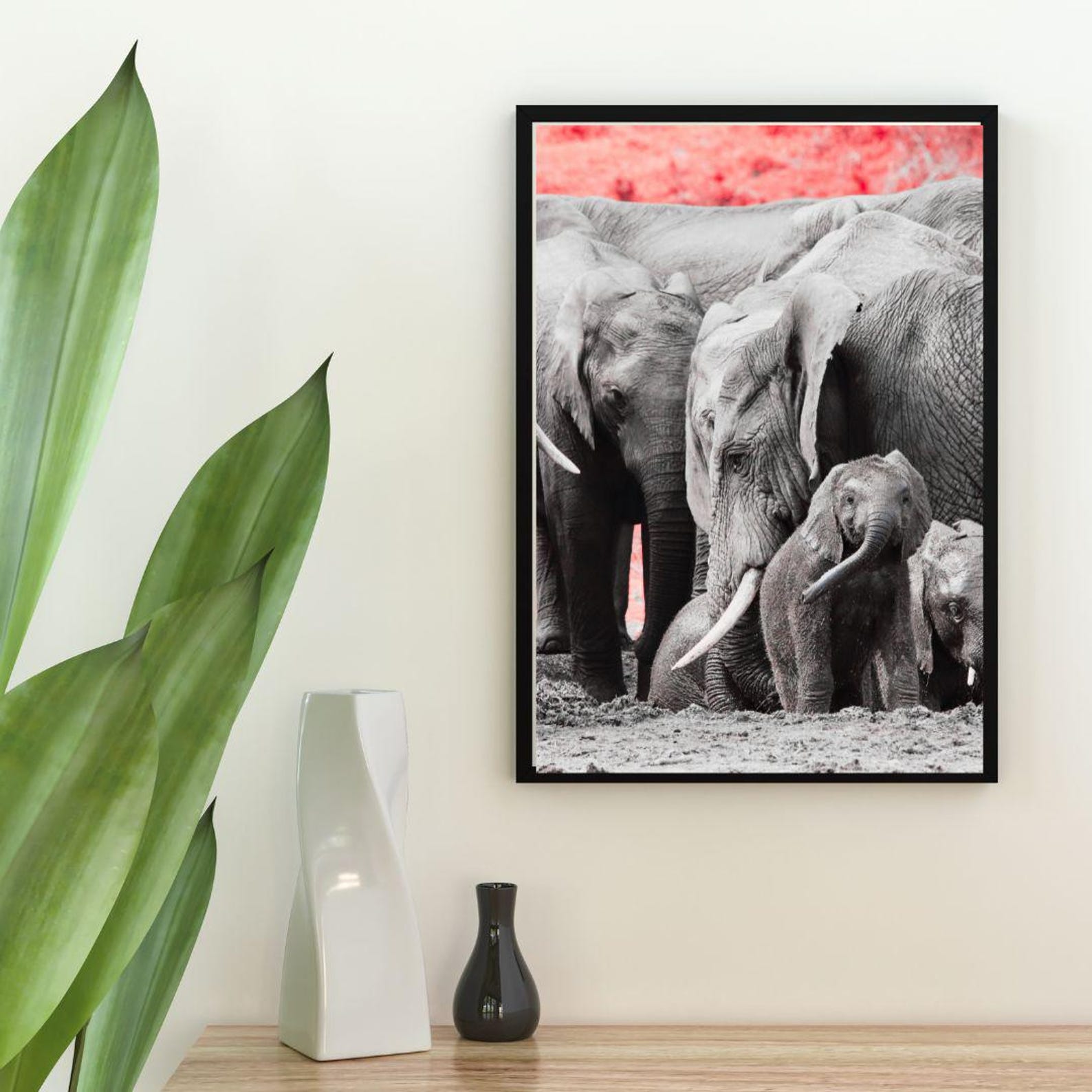 Elephants, Family Meeting, Wild Animals, Council Meeting, Important ...