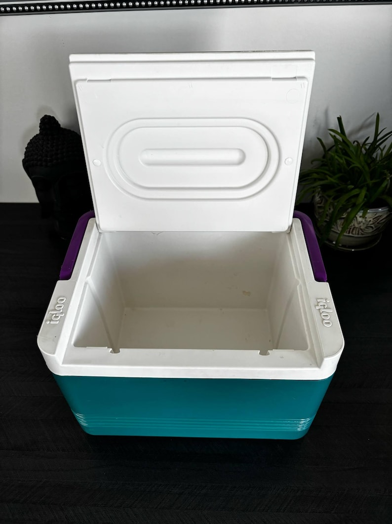 Vintage Igloo Legend 6 Cooler Teal Purple Handle 90s Retro Mini Ice ...