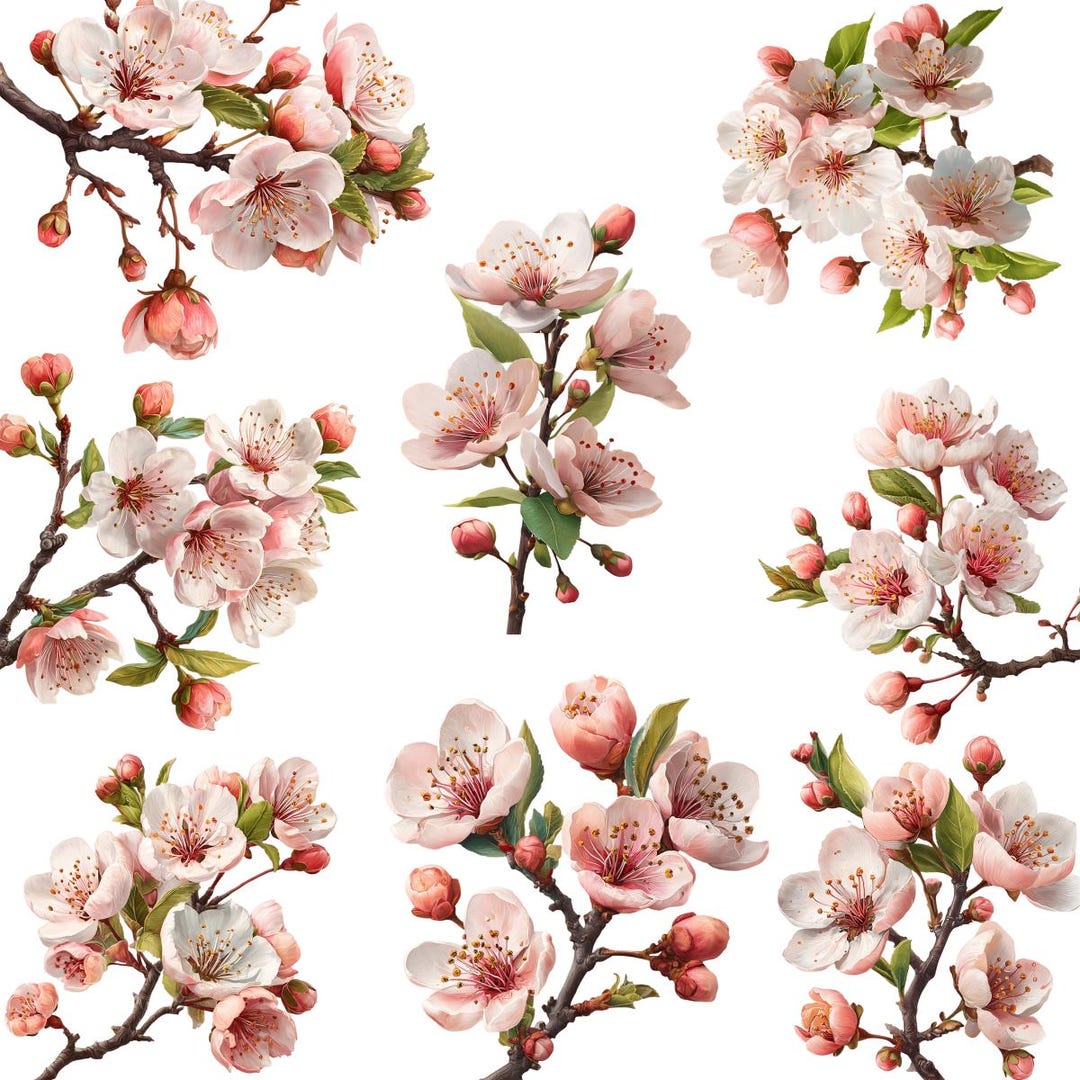 8 Watercolor Cherry Blossom Clipart, Pink Sakura, Spring Flower ...
