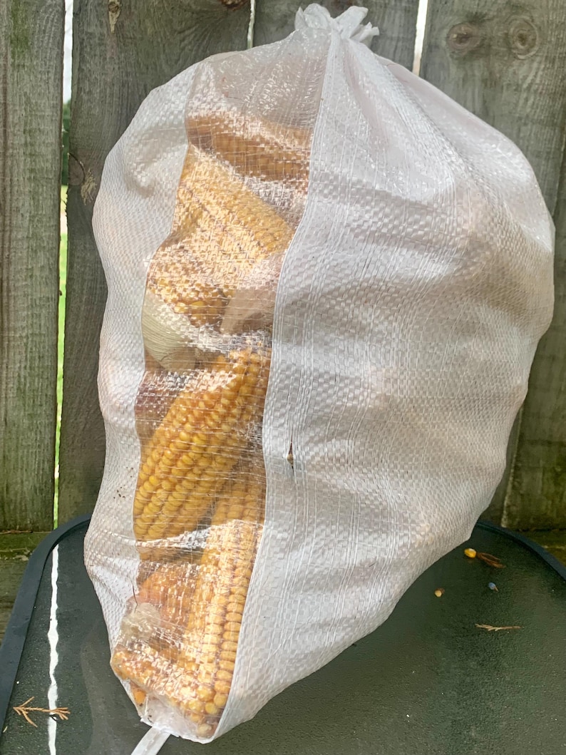 Corn on the Cob Squirrel Food for Squirrels, Birds, Rabbits, Deer ...