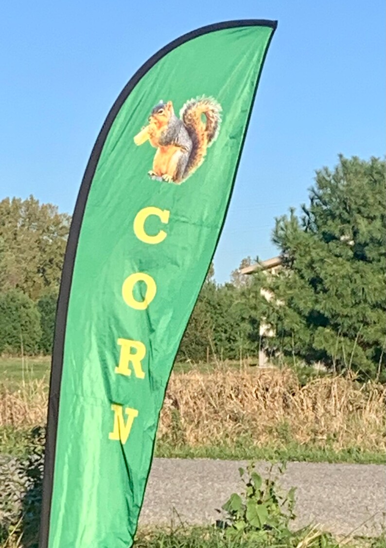 Corn on the Cob Squirrel Food for Squirrels, Birds, Rabbits, Deer ...