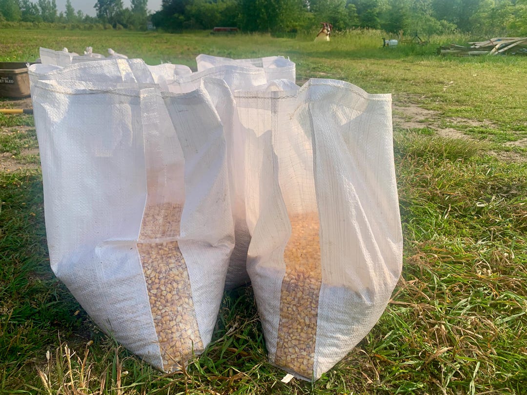 Shelled Whole Kernel Corn Premium Quality 15 Lb Bag Shipping Included ...