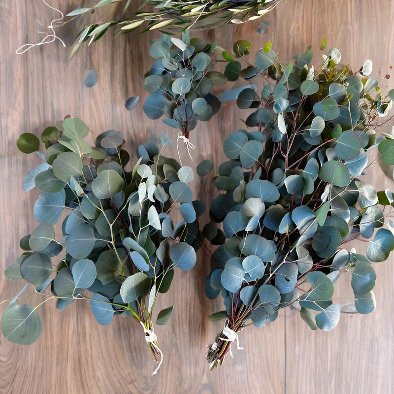 Eucalyptus Decor - Etsy