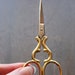 Floral Teardrop Embroidery Scissors Vintage Style Quilting Scissors in ...