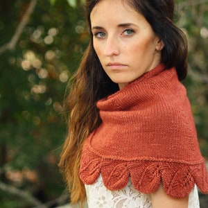Leaf Border Shawl Knitting Pattern • Wrapped in Leaves Knitting Pattern ...
