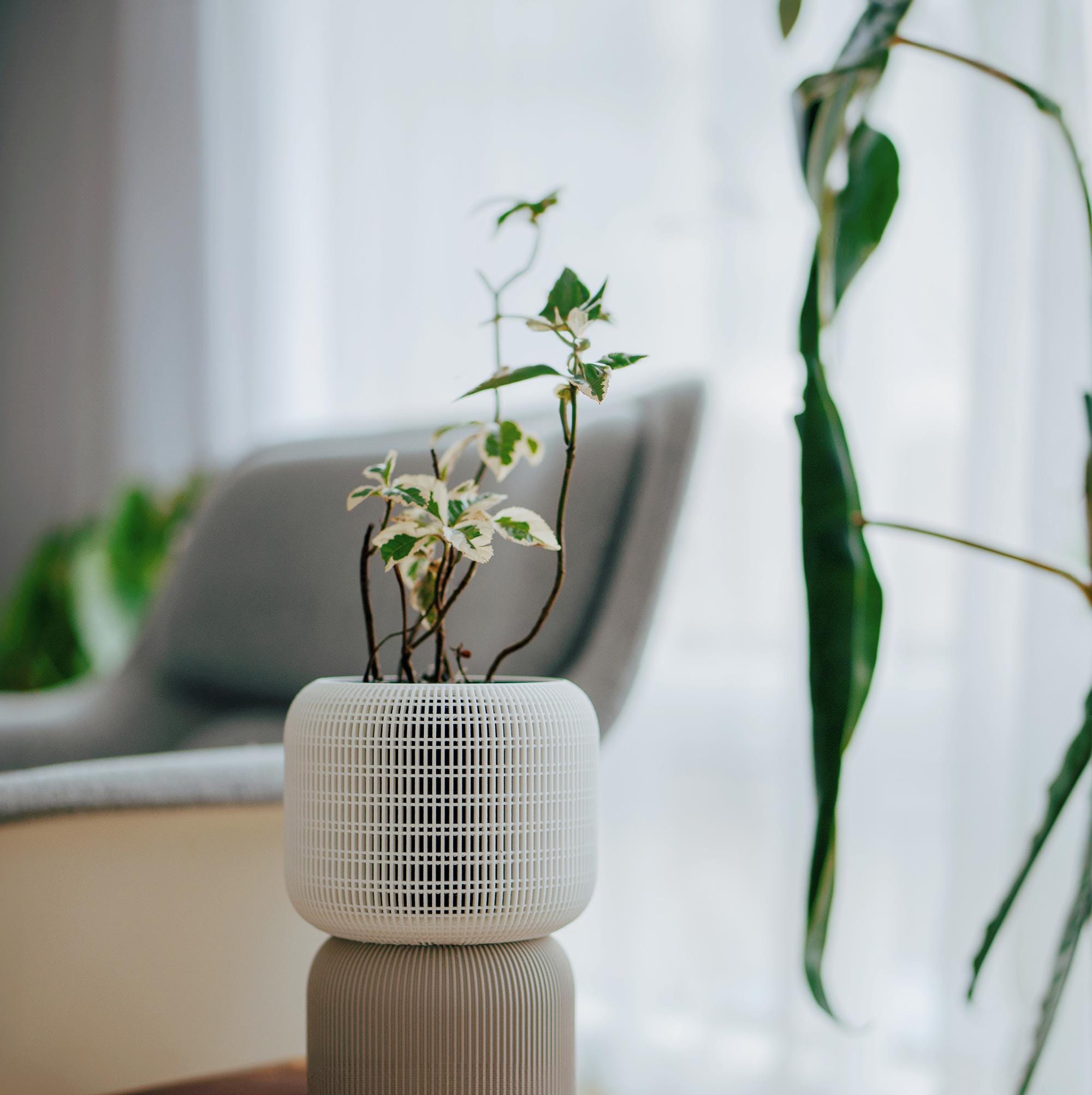 Verdipot® Cocoon Self-watering & Air Pruning Planters | Modern Indoor ...