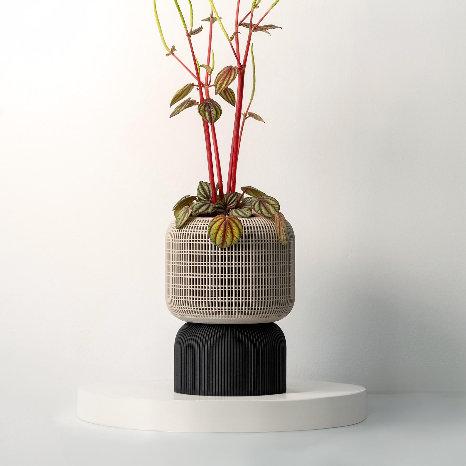 Verdipot® Cocoon Self-watering & Air Pruning Planters | Modern Indoor ...