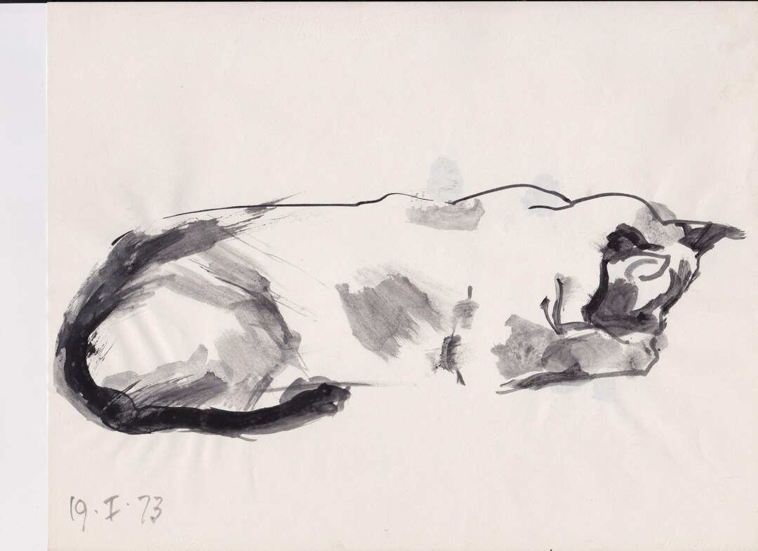 Ink Drawing of Cat by Late Chicago Artist Howard Mueller - Etsy Canada
