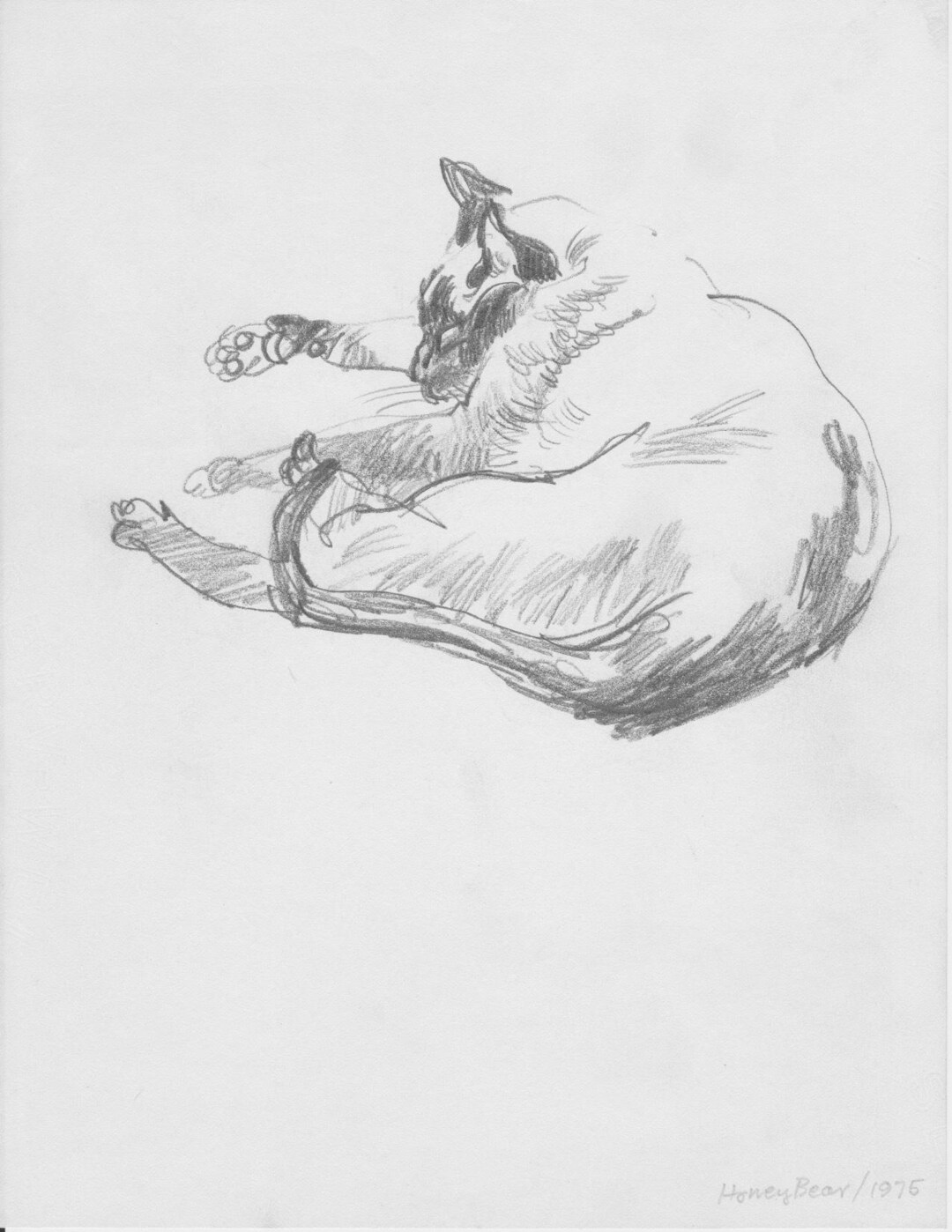 Original Vintage Cat Drawing by Late Chicago Artist Howard Mueller ...