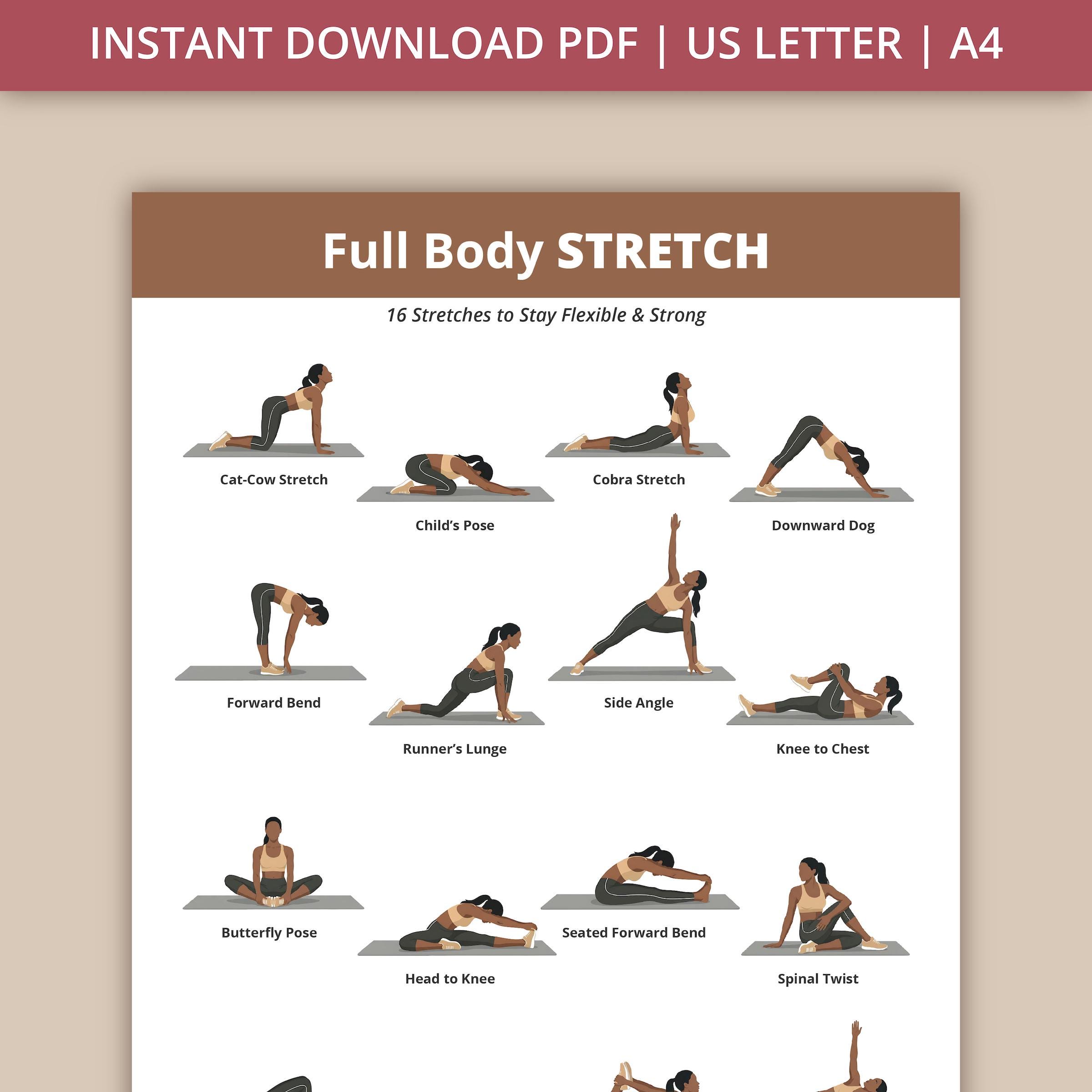 Full Body Stretch Routine | 16 Flexibility & Mobility Exercises ...