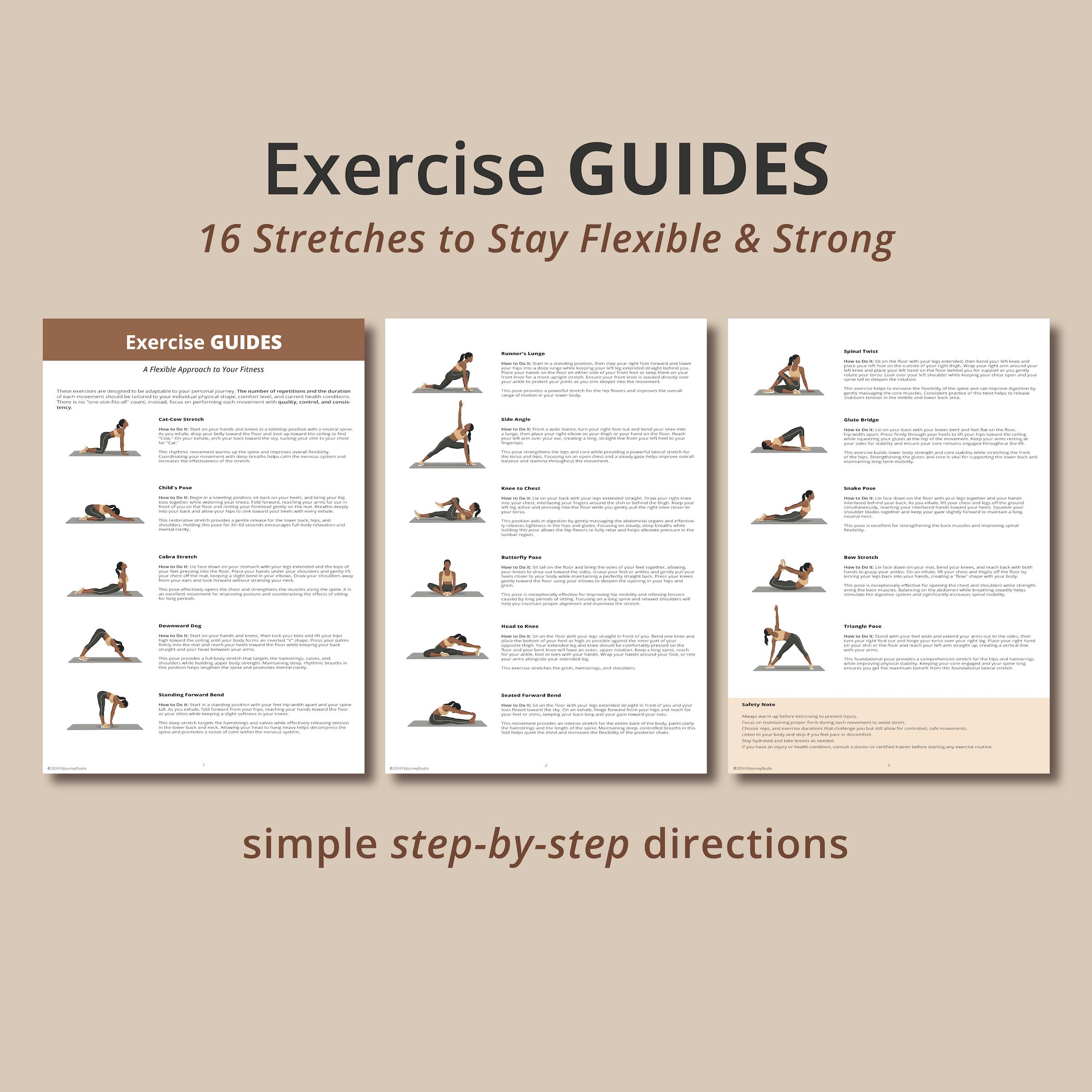 Full Body Stretch Routine | 16 Flexibility & Mobility Exercises ...
