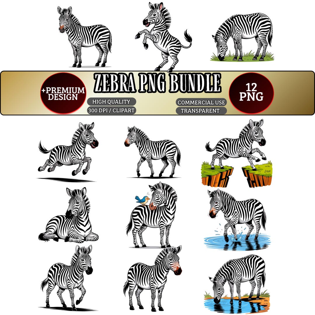 Zebra PNG Bundle, Zebra Clipart Bundle, Safari Animal PNG Bundle,zebra ...