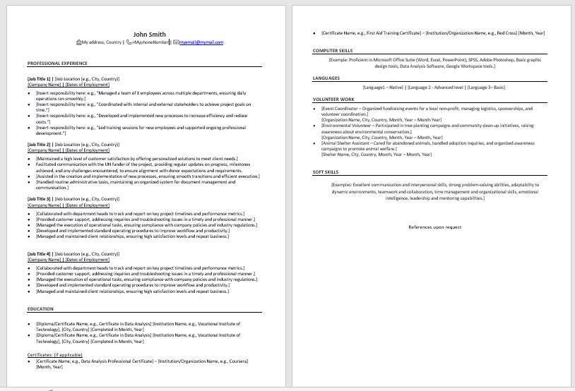Professional Resume Template - Simple CV - Etsy
