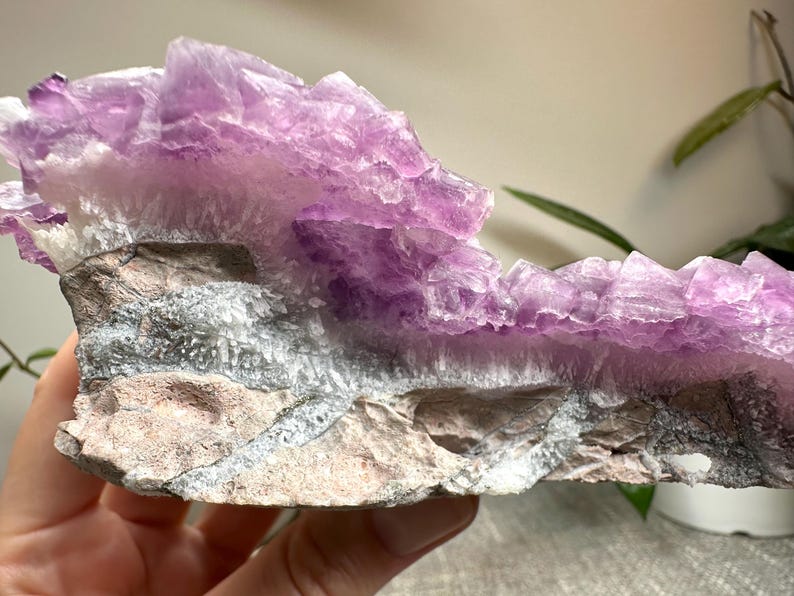 Purple Octahedral Fluorite on Matrix | Jiangxi Province, China | 508g ...