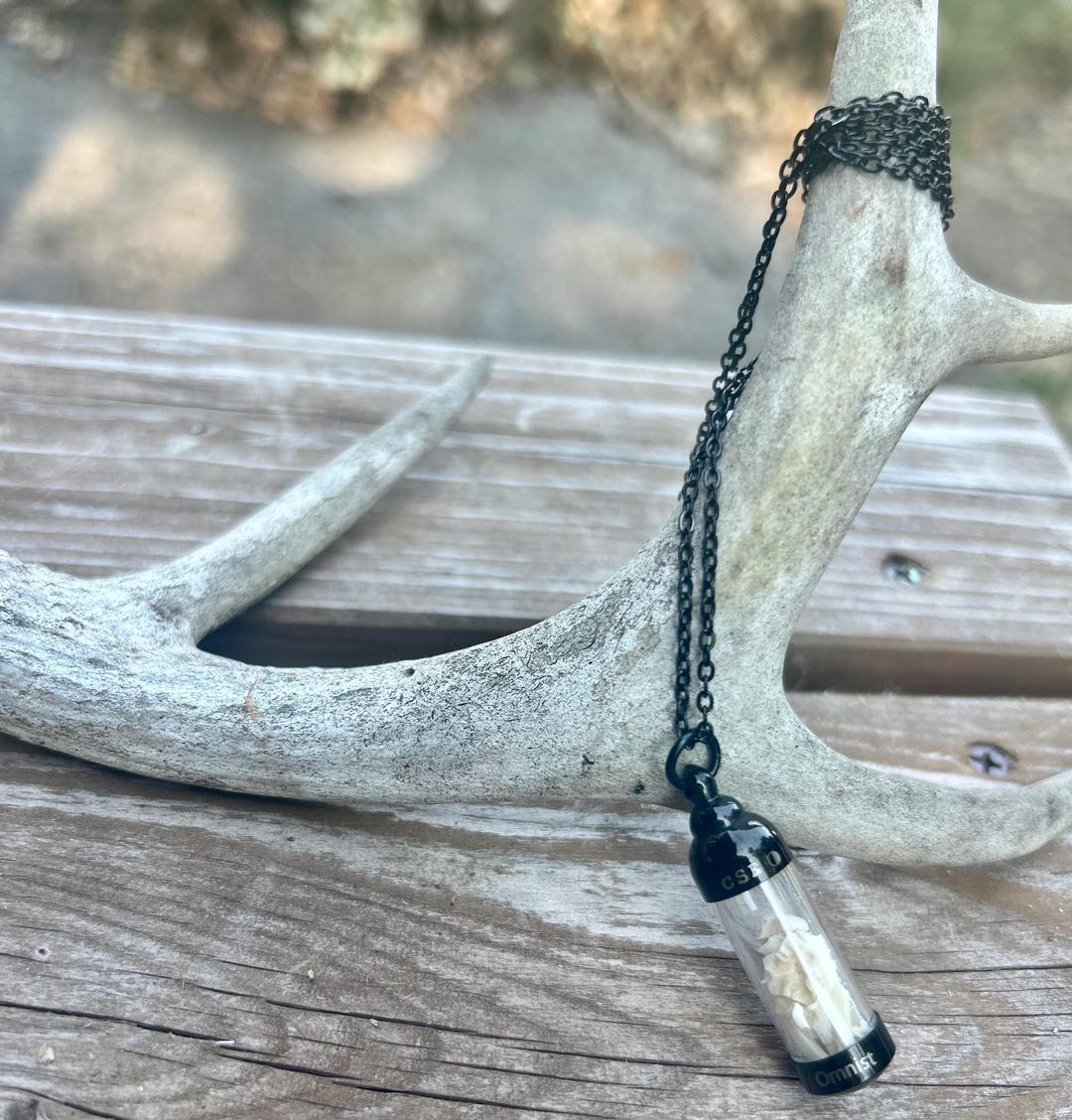 Consumia’s Spiritual Emporium Omnist Pendant With Reptile Vertebrae - Etsy