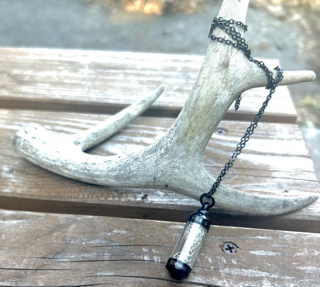 Consumia’s Spiritual Emporium Omnist Pendant With Snake Skin Shed - Etsy