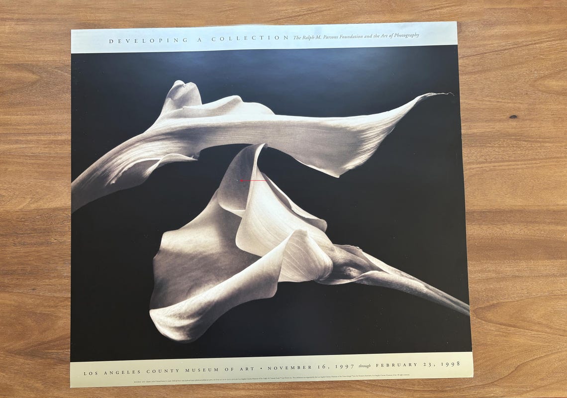 Kenro Izu - Still Life #227 - 1997 - Etsy