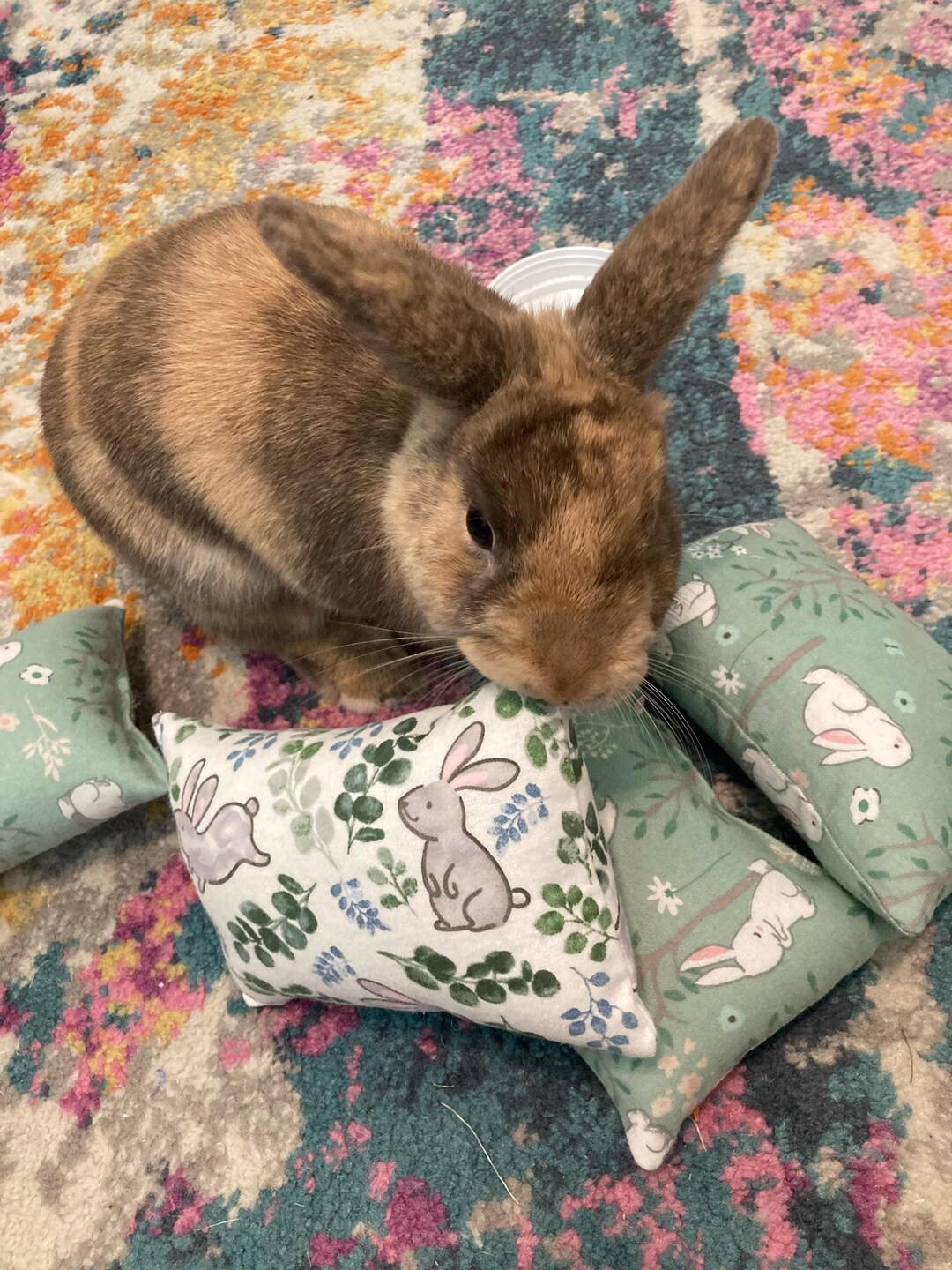 Bunny Toss Pillow Toy, Small Pet Toy, Rabbit Enrichment Toy, Mental ...