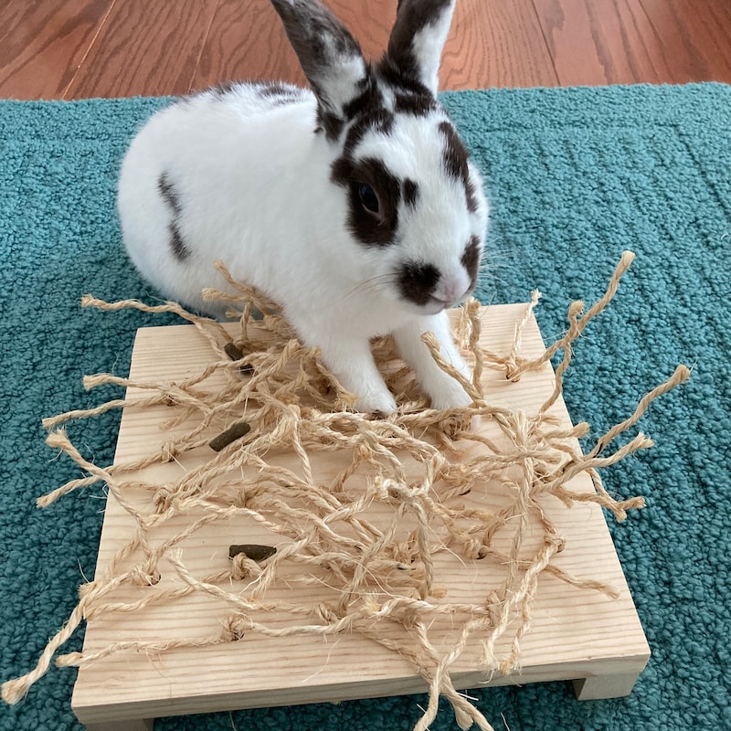 Wooden Bunny Rabbit - Etsy