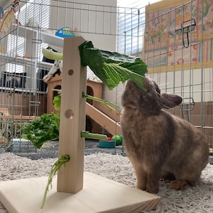 Bunny Lettuce Tree: Wood Foraging Toy, Rabbit Enrichment - Etsy