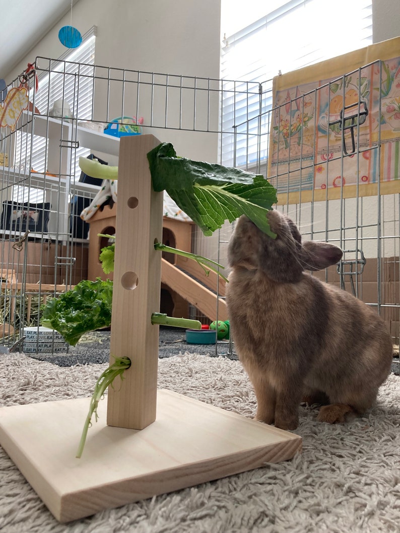 Bunny Lettuce Tree: Wood Foraging Toy, Rabbit Enrichment - Etsy